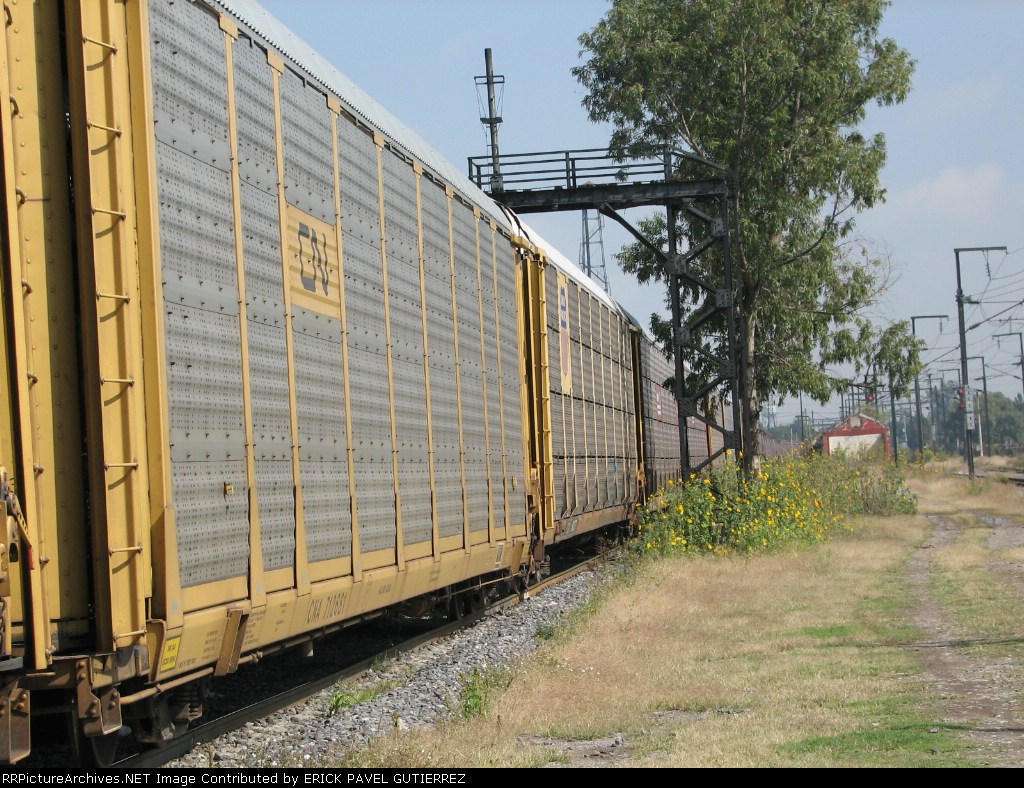 AUTORACKS IN LECHERIA
